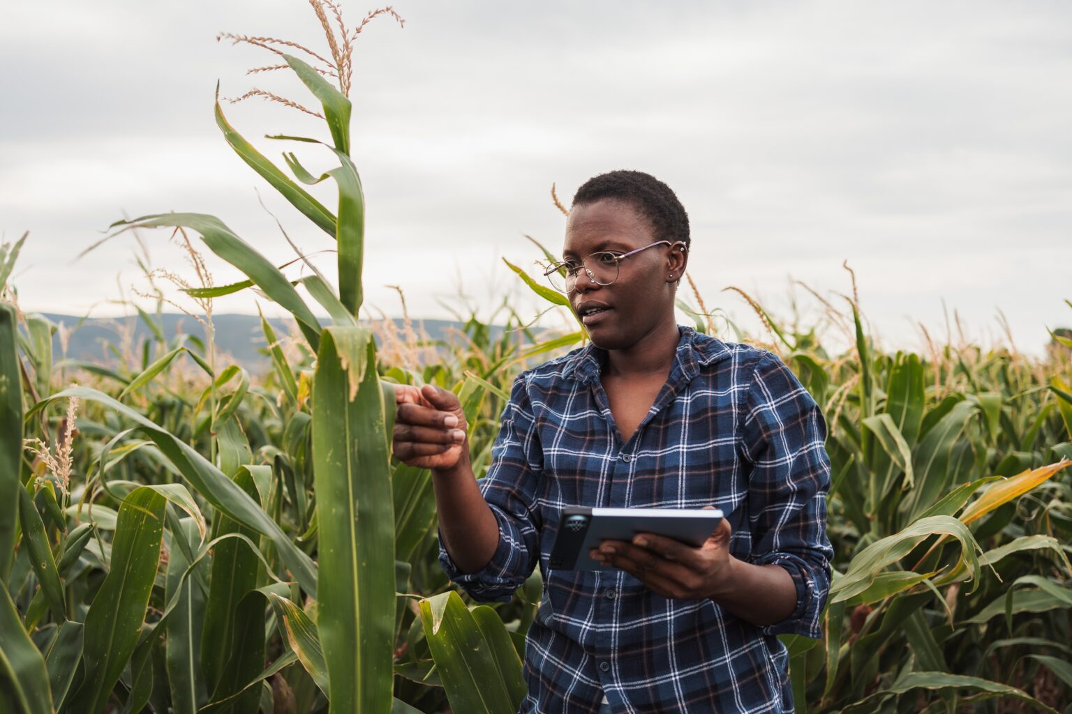 Careers - Pearl Bank Uganda